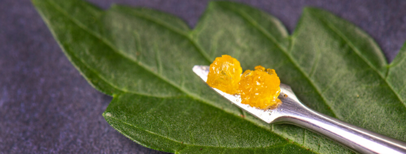 Resin vs. Live Resin vs. Rosin: What’s the Difference?