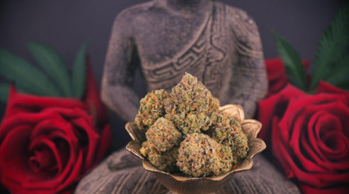 Spiritual Uses of Marijuana Throughout History - Togo Weed