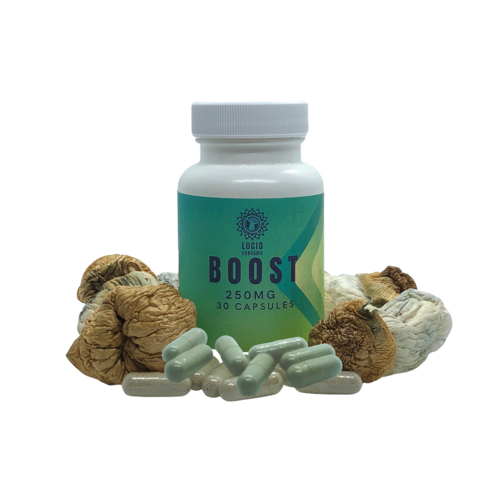 Boost Microdose Capsules by Lucid Shrooms - Togo Weed