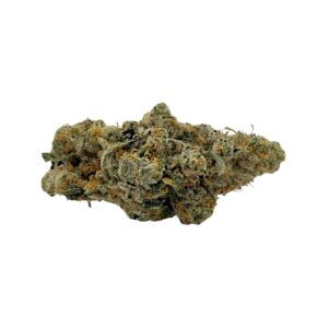 Chocolatina (AAAA) - Broke Kid Grows Online - Togo Weed