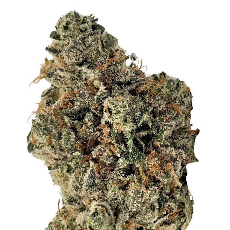 Chocolatina (AAAA) - Broke Kid Grows Online - Togo Weed