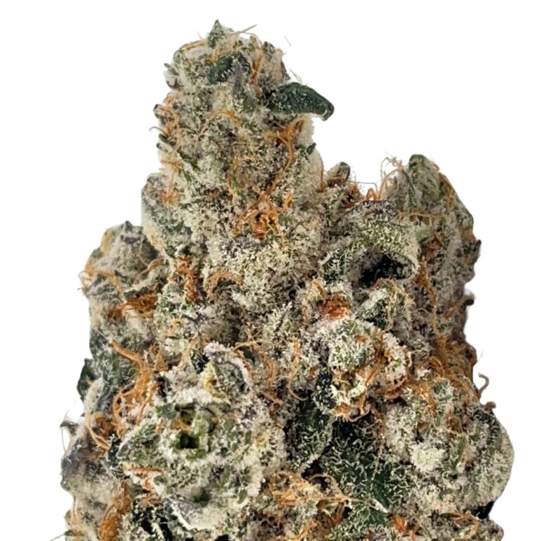 Secret Cookies x Kush Mints by BrokeKidGrows - Togo Weed