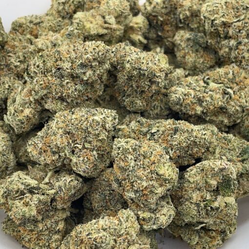 Gary Payton x Fish Scale Strain - Togo Weed - Buy Bud Online